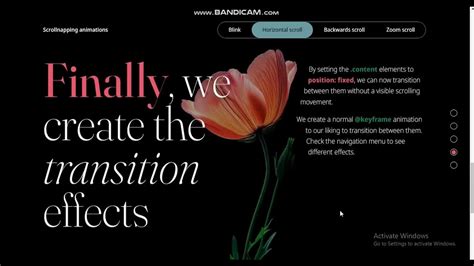 Css Slider Scroll Driven Scroll Snapping Slider Animations Multi Animated Slider Animation