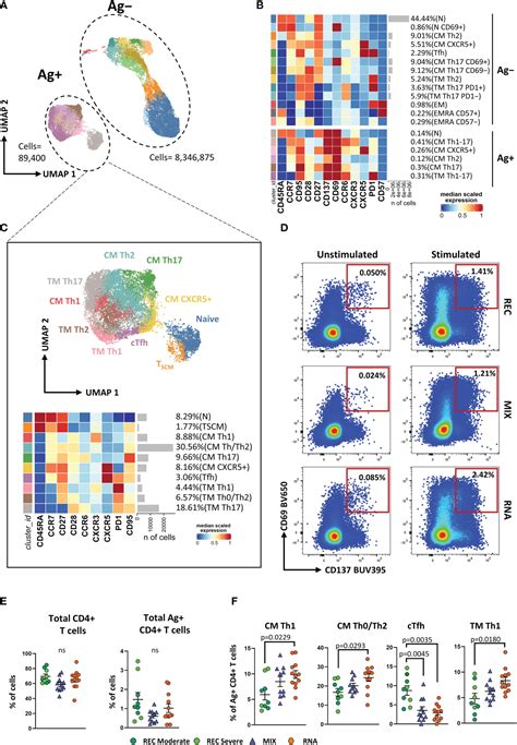 Frontiers Detailed Characterization Of SARS CoV Specific T And B Cells After Infection Or