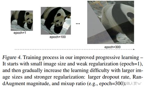 【轻量化网络系列（7）】efficientnetv2论文超详细解读（翻译 ＋学习笔记代码实现） Csdn博客