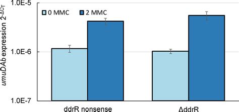 a ddrr protein probably exerts the regulatory actions of ddrr rt qpcr