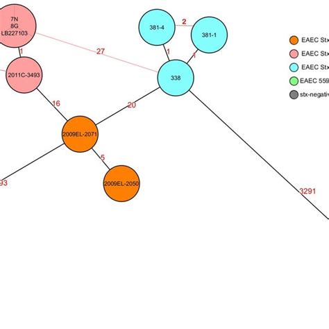 Core Genome Phylogenetic Analysis Of E Coli Strains The Minimum