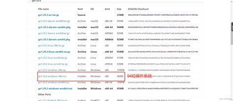 1 go语言 go语言开发包安装及goland的安装激活 go激活 csdn博客