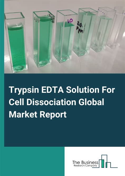 Trypsin Edta Solution Market Analysis And Growth Forecast 2025 2034