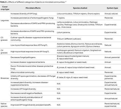 Managing For Optimum Root Health