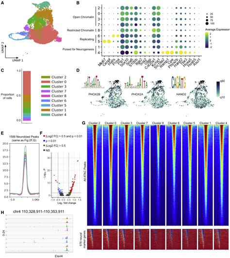 Single Cell Multiome Sequencing Clarifies Enteric Glial Diversity And