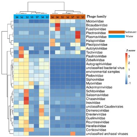 hierarchical heatmap representing the relative abundance of the main