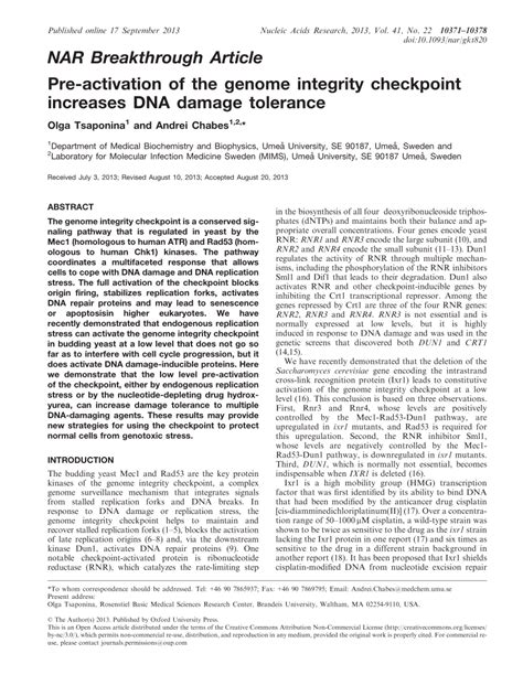 pdf pre activation of the genome integrity checkpoint increases dna