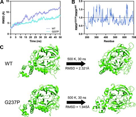 Molecular Dynamics Simulations Of Wt And G237p Variant Lrinu At Very