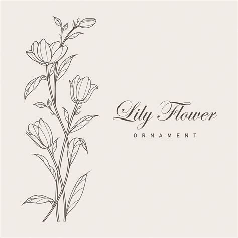 Premium Vector Lily Flower Vector Decoration