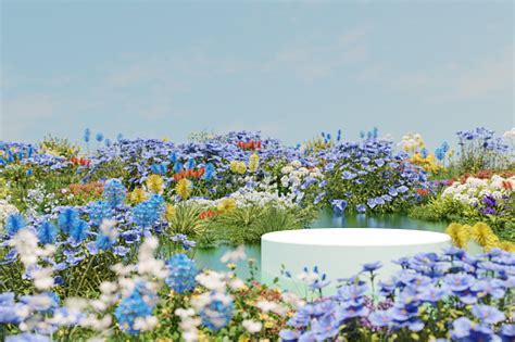 Abstact 3d 렌더링 봄 장면 및 자연 연단 배경 제품 전시 광고 모형 화장품 등을 위해 호수의 다채로운 꽃밭에 흰 돌