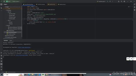 Pytorch学习的第二天，学习transform中一些类的用法，比如totensor和tensorboardpytorch 图像totensor Csdn博客