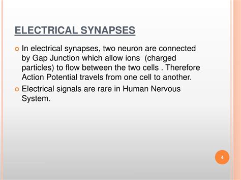 Ppt Synapses And Neuronal Integration Powerpoint Presentation Free Download Id 596883
