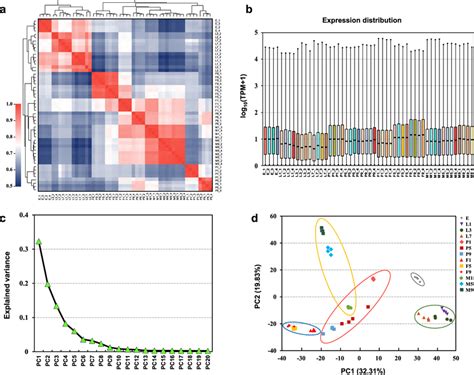 Global Gene Expression Patterns During The 13 Life Stages A