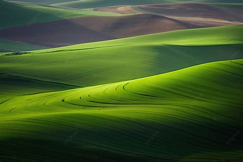 붉은 슬로프 고해상 곡식 농업 배경 일러스트 및 사진 무료 다운로드 Pngtree