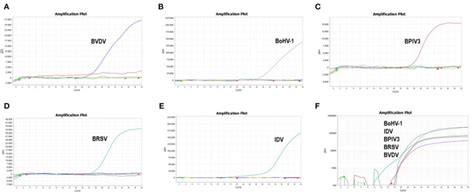 Development Of A One Step Multiplex Real Time Pcr Assay For The Detection Of Viral Pathogens