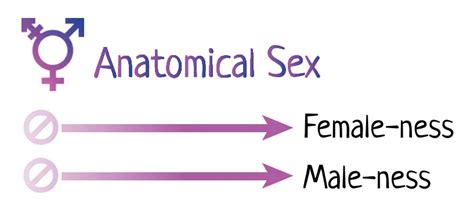 The Genderbread Person Version 40