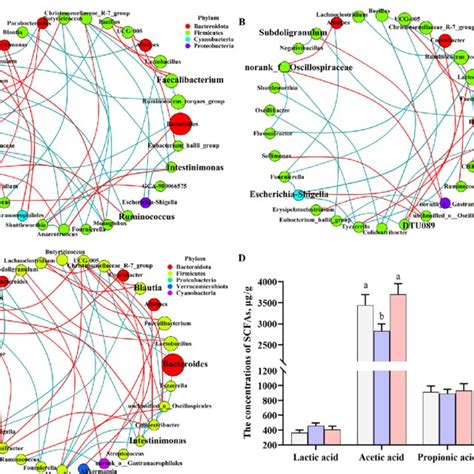 Microbial Communities Co Occurrence Network And Short Chain Fatty Acids
