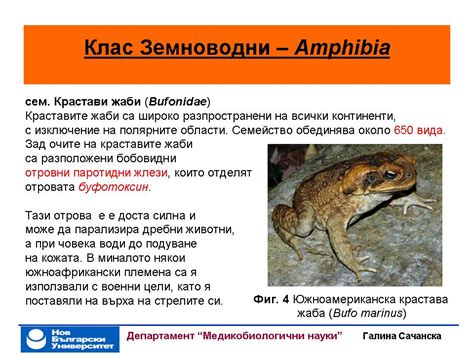 418 Животинско царство Гръбначни животни Земноводни и влечуги