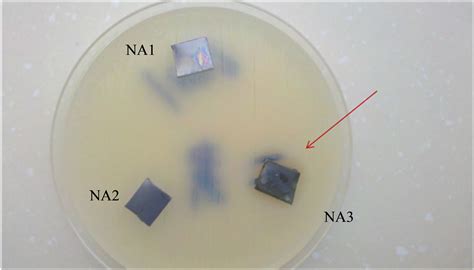 Fabricated Antibacterial And Bioactive Titania Nanotube Arrays Coating On The Surface Of Titanium