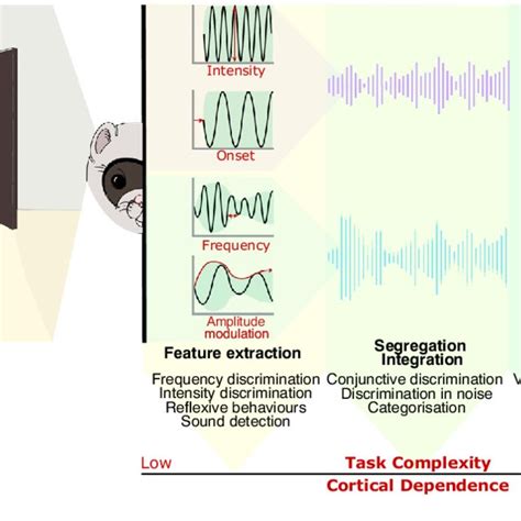 Outline Of Processing Stages Involved In Auditory Scene Analysis And Download Scientific