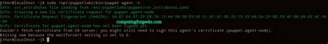 Install Puppet 7 Server And Agent On Centos 7rhel 7 Computingforgeeks