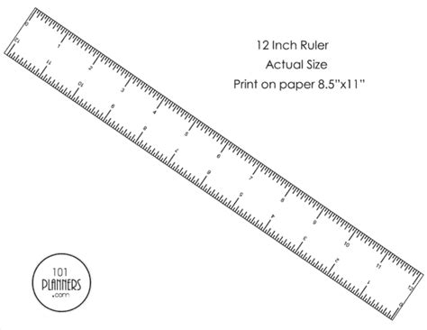 Pic Of Life Sized Ruler Golfweare