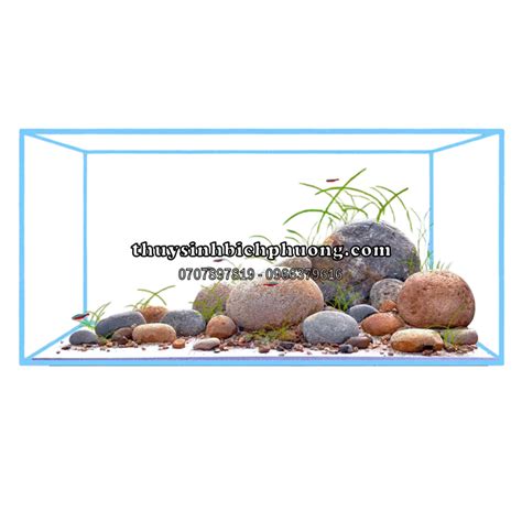 BỐ CỤc Layout ĐÁ CuỘi 1 Biotop