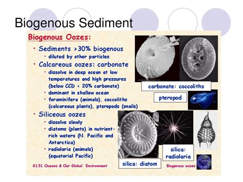 Ppt Warm Up 21009 Powerpoint Presentation Free Download Id4530290