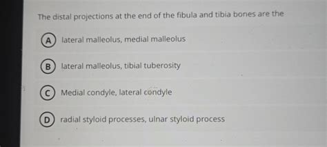 The Distal Projections At The End Of The Fibula And Tibia Bones Are The