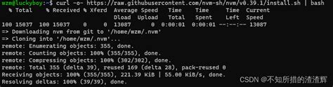 Curl Failed To Connect To Raw Githubusercontent Port Connection Refused Linux Curl
