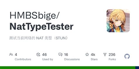 GitHub HMBSbige NatTypeTester 测试当前网络的 NAT 类型STUN