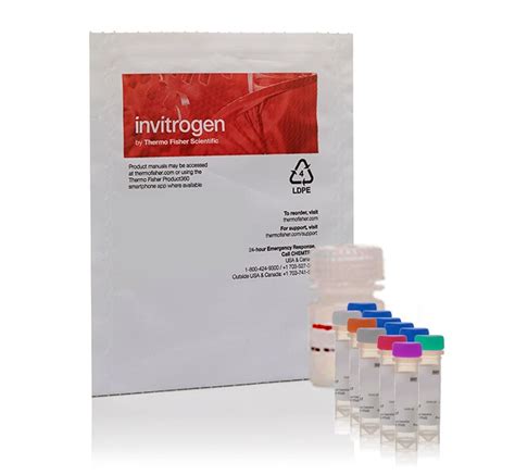 Invitrogen Piper Pyrophosphate Or Phosphate Assay Kit Dosage Du Pyrophosphate Buy Online