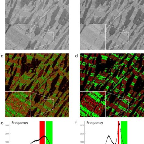 a 3d roi from a fib sem dataset acquired at isotropic 5 nm resolution