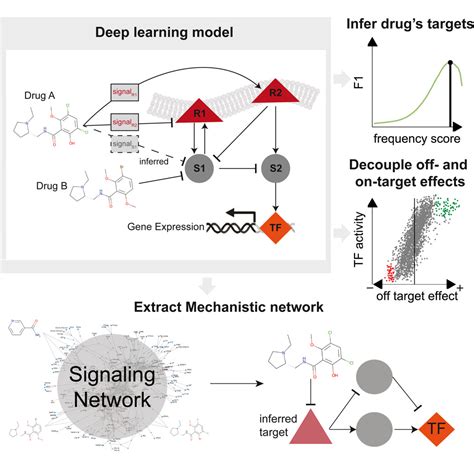 Inference Of Drug Off Target Effects On Cellular Signaling Using