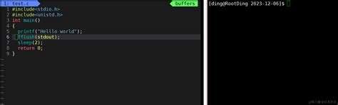 【linux 进度条小程序】缓冲区 回车换行 linux按enter键向输入缓冲区输入什么 csdn博客