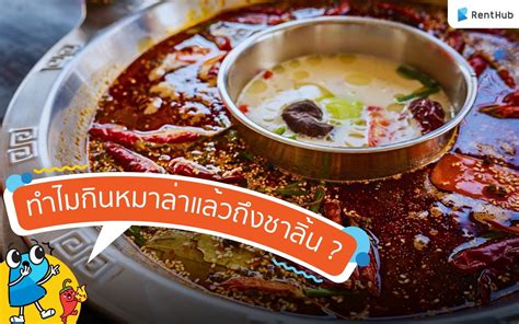 รวม 20 เรื่องหลอนล้านวิว จาก The Ghost ที่ชาวหอฯ ห้ามพลาด