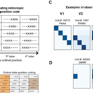 Transition From Blank Space To Ordinal Position Coding A Same As Download Scientific Diagram