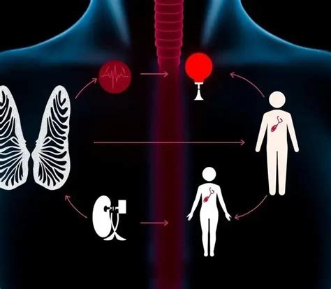 Erectile Dysfunction And Thyroid Health Key Insights You Need