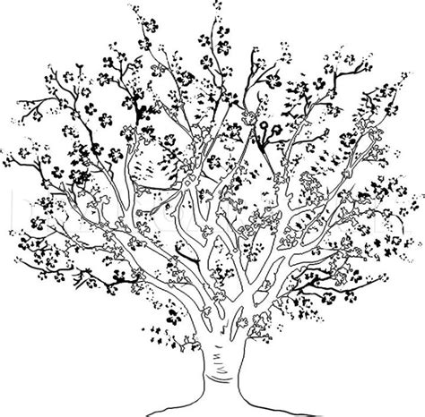 40 Easy Tree Drawing Ideas How To Draw A Tree Blitsy