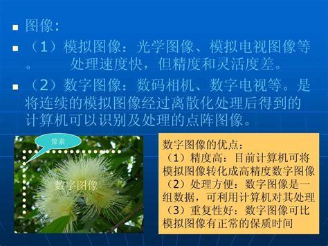 Matlab数字图像处理介绍word文档在线阅读与下载无忧文档