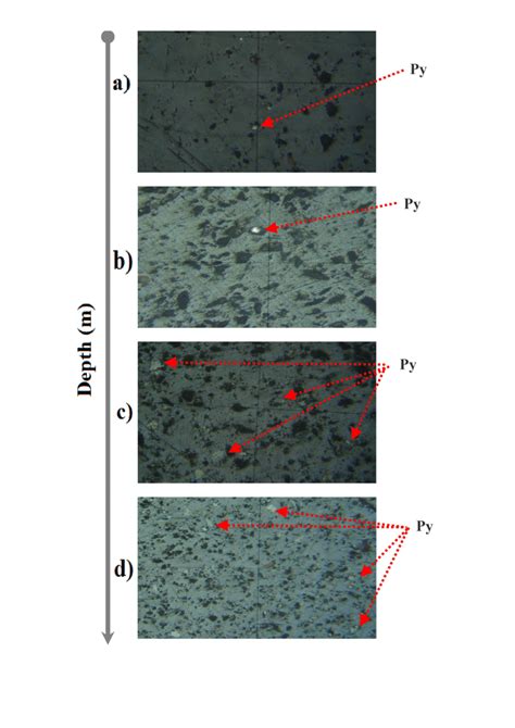 Pdf Integrated Time Lapse Geoelectricalgeochemical Investigation At A Reactive Coal Washing
