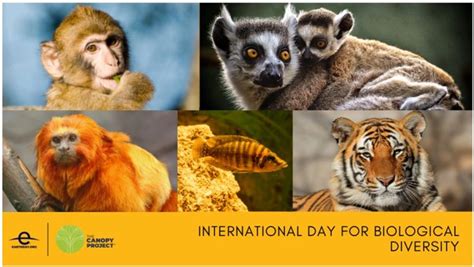manish pawar on linkedin hi everyone on this international day for