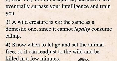 The More You Know Imgur