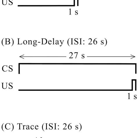 A Short Delay Conditioning B Long Delay Conditioning C Trace