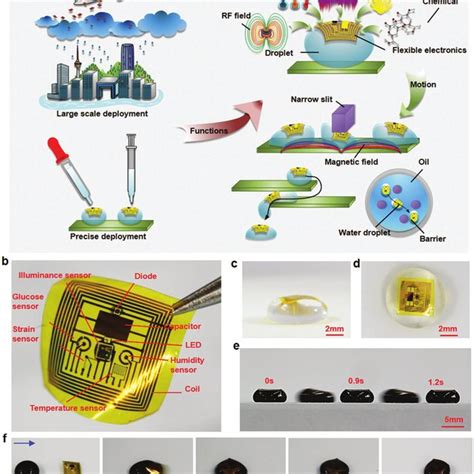 Schematic Diagram Of Symmetric Supercapacitor 1 Download Scientific