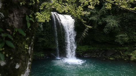 Coban Talun Keindahan Harga Tiket Jam Buka Dan Rute