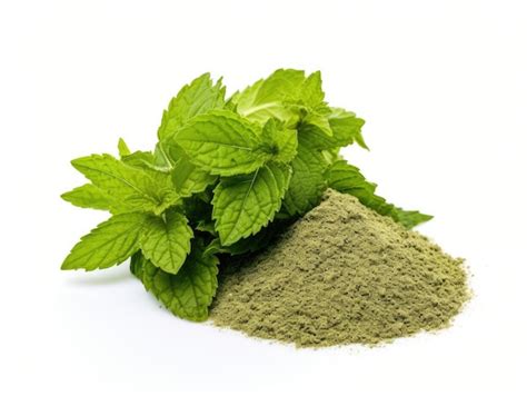 Premium Photo Catnip Isolated On White Background