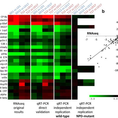 Results Of Three Step Validation Of RNAseq Differential Gene Expression
