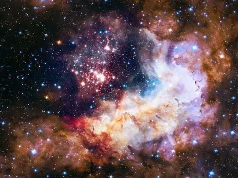 Gravity Collapse Neutron Stars Black Holes Science