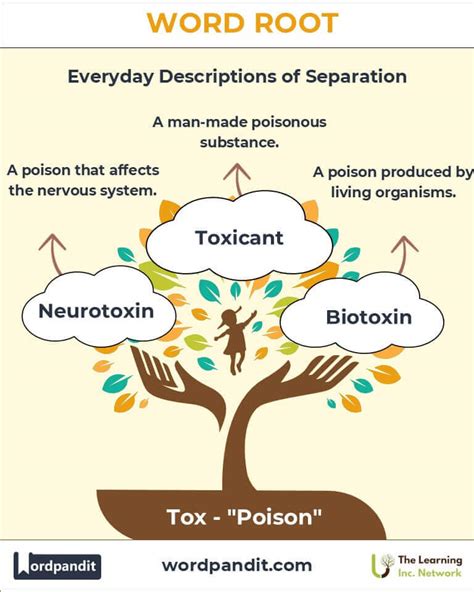 Word Root Tox Wordpandit